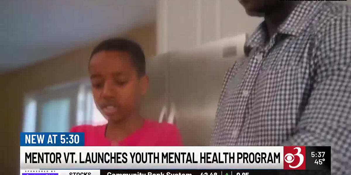 New Mentorship Program Aims To Address Youth Mental Health Needs